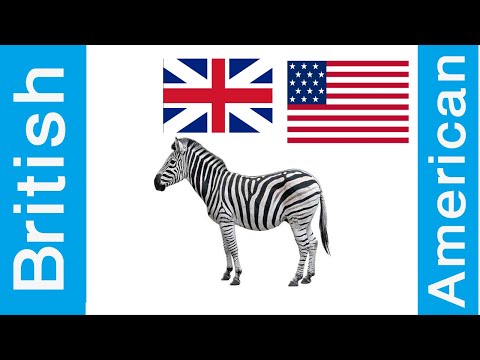 How to Pronounce Zebra in British and American English?