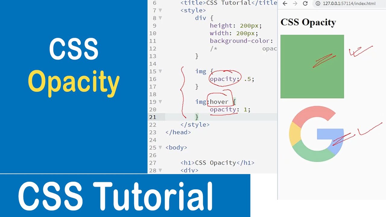 #33 CSS Opacity | Transparent Image | Transparent Hover Effect | CSS Tutorial