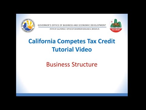 Business Structure
