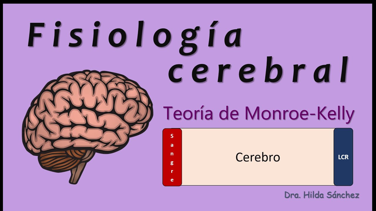 Teoría de MONROE-KELLIE 🧠 Presión intracraneal explicada fácil