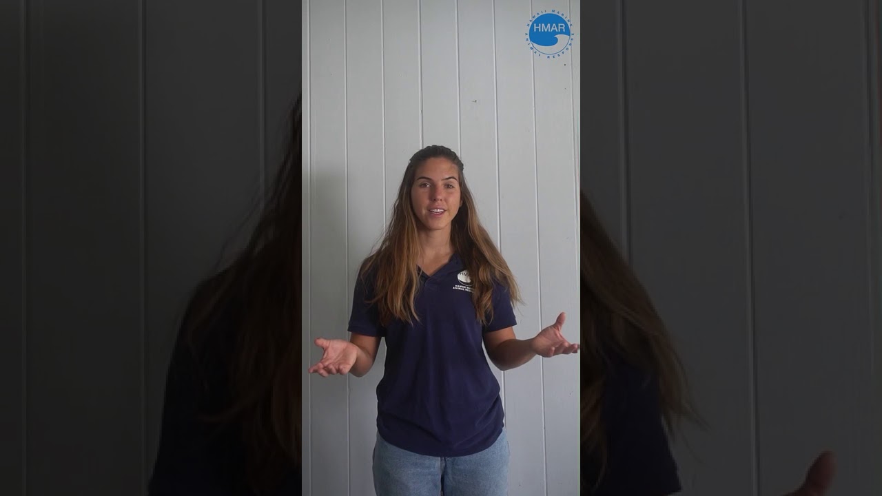 Introduction to Hawaiian Monk Seals: Natural History