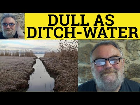 🔵 Dull As Dishwater Meaning - As Dull As Ditch-Water Examples - As Dull As Dishwater Defined - As-As