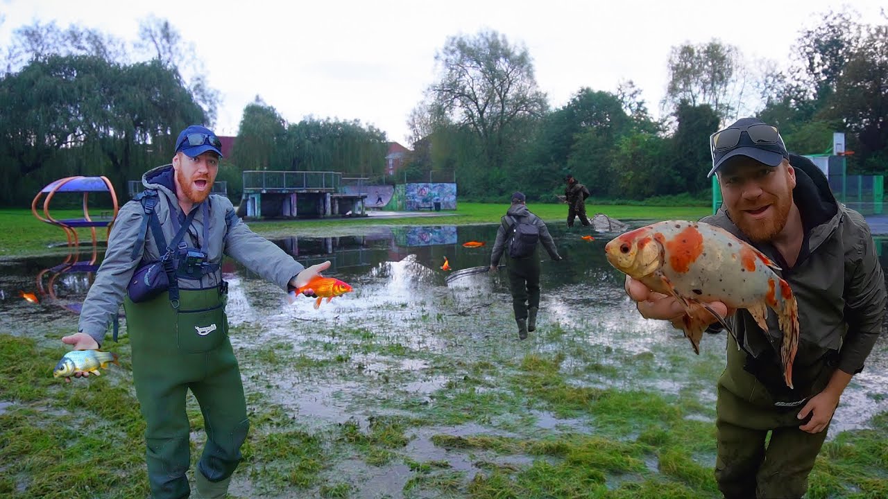 The Puddles Were Full of Priceless FISH! After Storm Babet! (Fish Rescue)