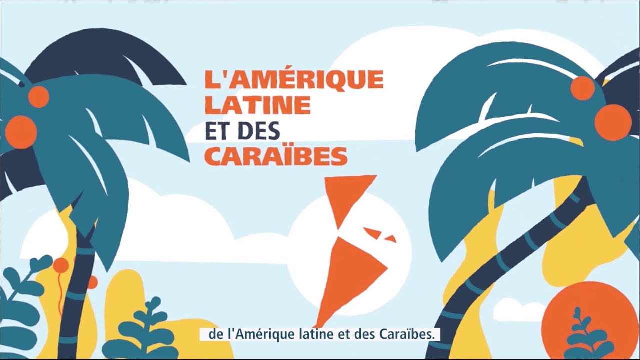 Introducing the IDB Group (French version)