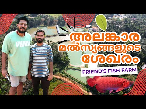 Exploring My Friend’s Amazing Fish Farm in Keezhillam | Aquaculture Tour | Malayalam Vlog