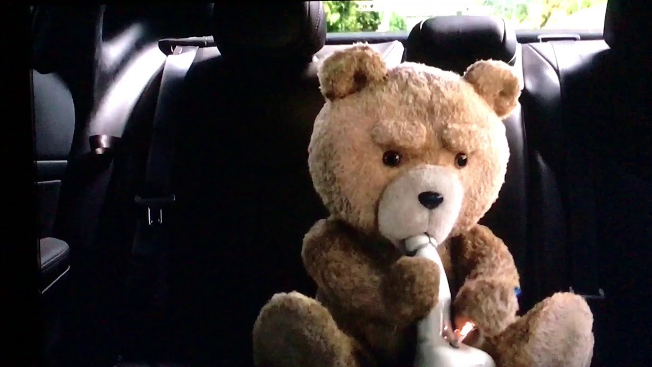 Ted 2 #myamazingsummer