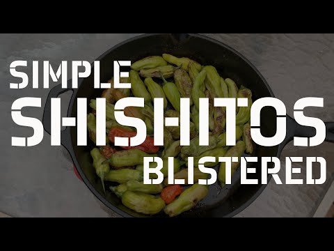 the Garden Voyeur Blistered Shishito Dish
