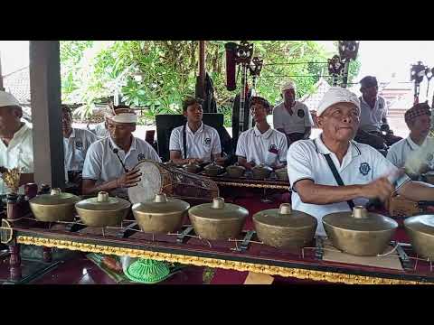 puja wali pure maksan toh jiwa karang siluman Utara Cakranegara timur.