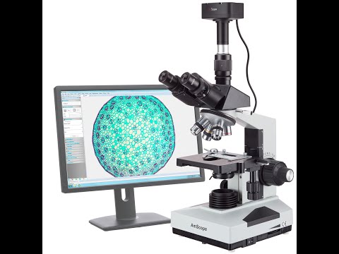 Microbiology  basic lab equipment review
