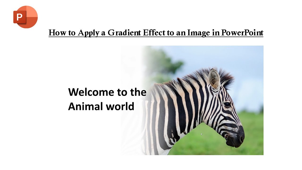 How to Apply a Gradient Effect to an Image in PowerPoint