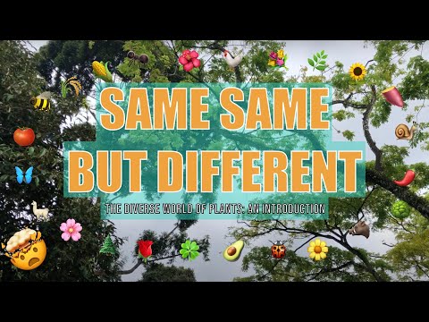 EP 1: An introduction to the world of plants