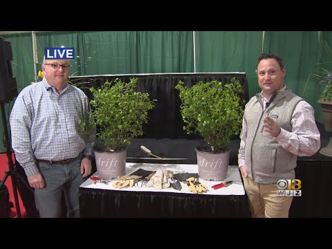 Home And Garden Show: Ideas For Your Patio Decor This Spring