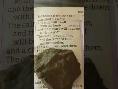 Isaiah 11:6. Harmony