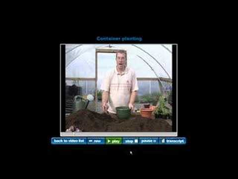 Introduction to Working in Horticulture