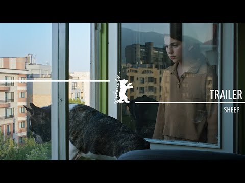 "Sheep" (Goosfand) | Trailer | Berlinale 2024