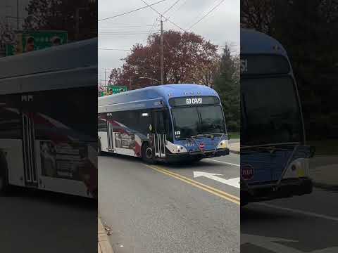 RTA Bus #4101