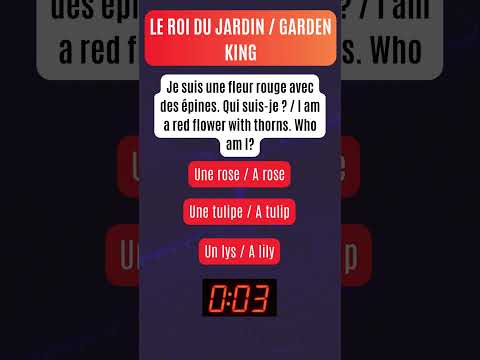 Guess the French Word! Language Lovers, This Riddle’s for You! 🌍🇫🇷