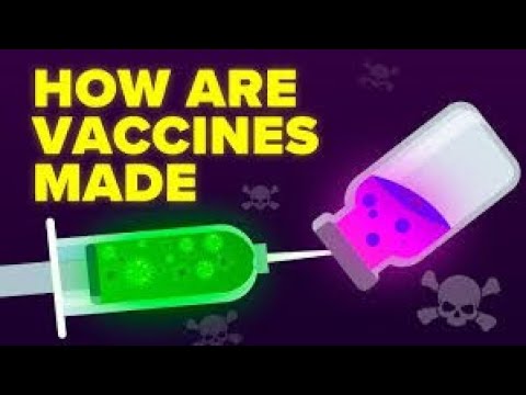 How Vaccines Work!