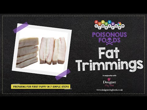 Can Dogs Eat Fat Trimmings?