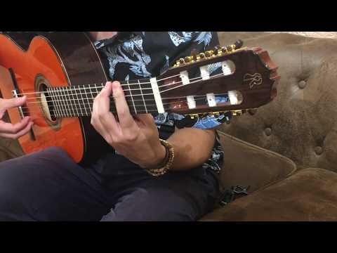 Raimundo Model 125 Flamenco iMuso