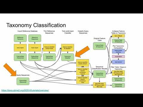 Taxonomic assignment