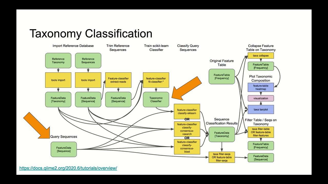 Taxonomic assignment