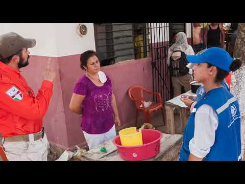 What is the one piece of advice you would give future IOM interns?