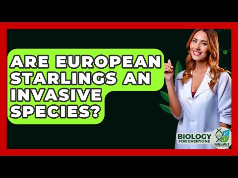 Are European Starlings An Invasive Species? - Biology For Everyone