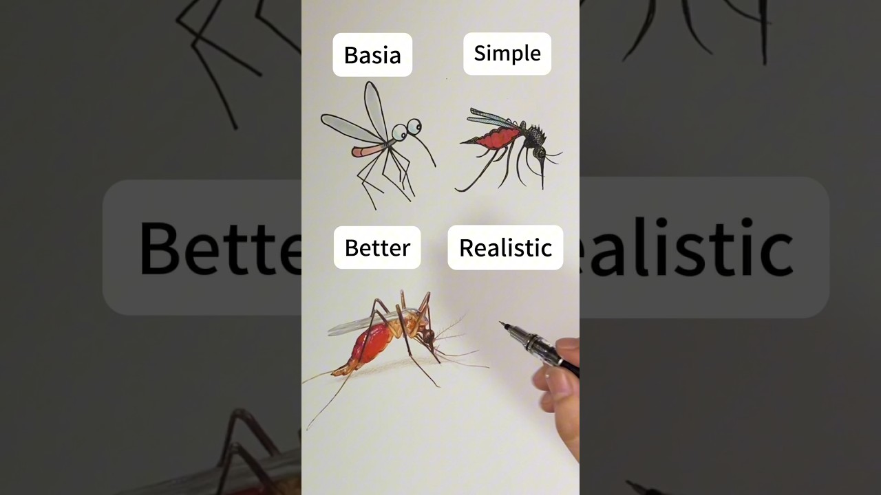 Draw mosquito #drawing #drawflights #art #howtodraw #draw