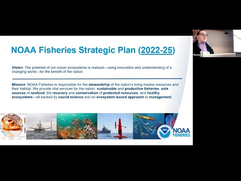 NOAA Fisheries Data Vision Open Data and Open Science
