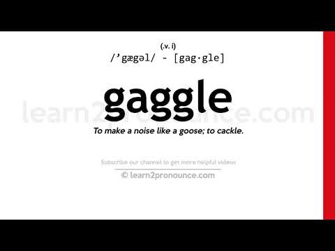 Pronunciation of Gaggle | Definition of Gaggle