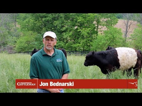 Soil and water conservation practices at Sherwood Acres, Kentucky