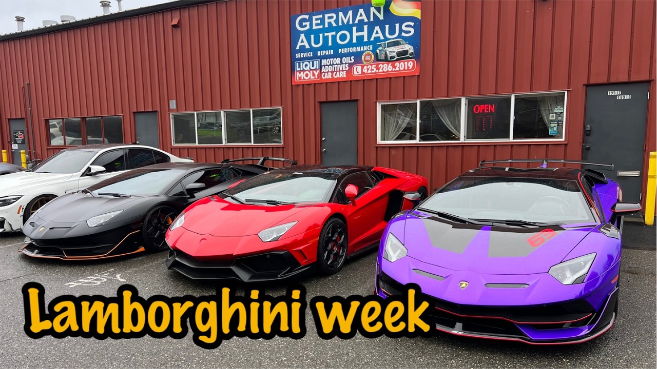 Inside an Exotic Car Shop. Lamborghini Aventador Throttle Failure P210B.