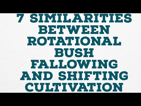 7 Similarities between rotational bush fallowing and shifting cultivation