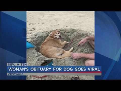 Upstate woman's obituary for beloved dog goes viral