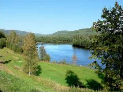 Jan Lindblad visslar till det! – Petterssons gör Sverige lagom!