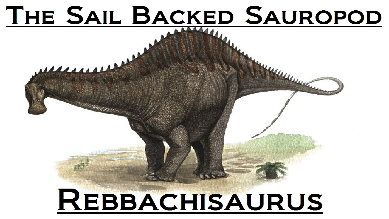 Prehistoric Breakdown: Rebbachisaurus