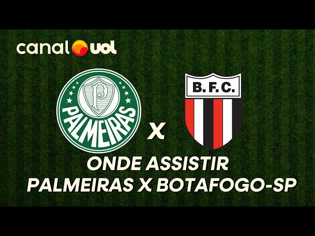 Onde vai passar Palmeiras x Botafogo-SP pelo Paulistão? Como assistir