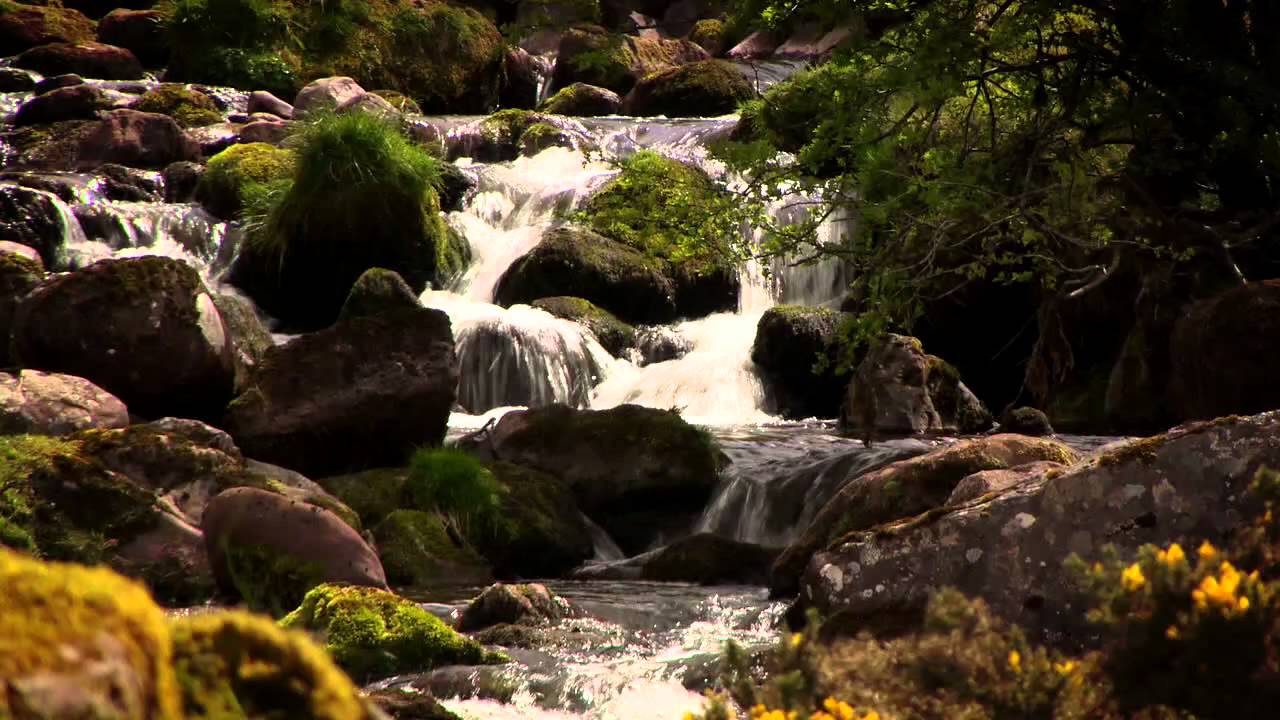 11 gorgeous Carmarthenshire walks that are perfect any time of year ...