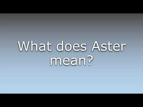 What does Aster mean?