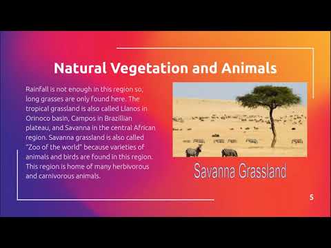Tropical Grassland Climate