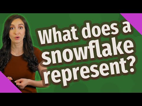 What does a snowflake represent?