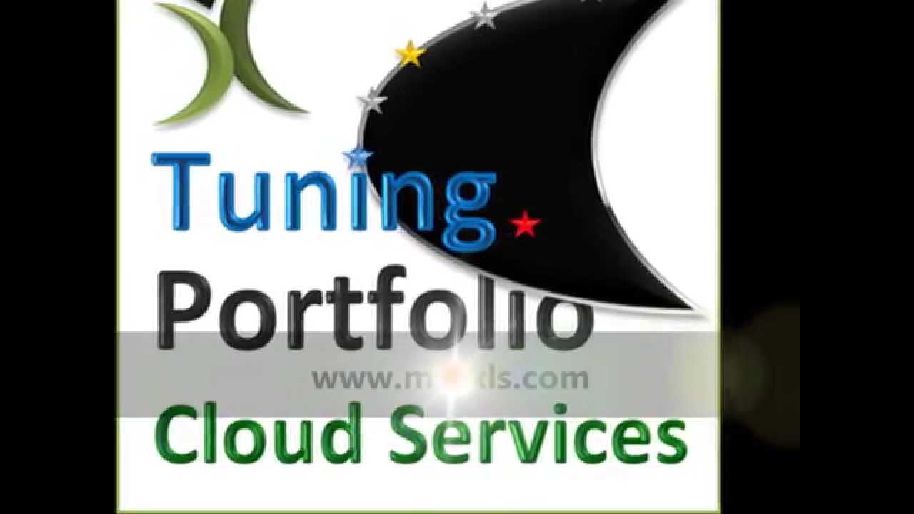 Portfolio optimization - Case study