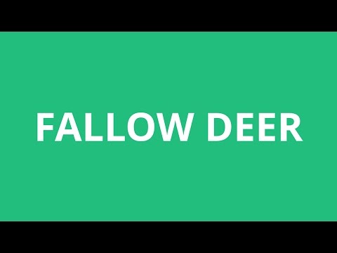 How To Pronounce Fallow Deer - Pronunciation Academy