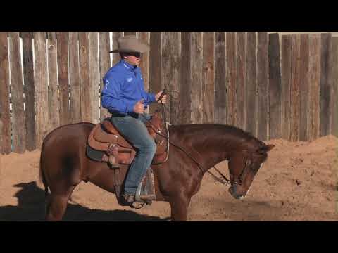 Casey Deary Collection And Head Carriage