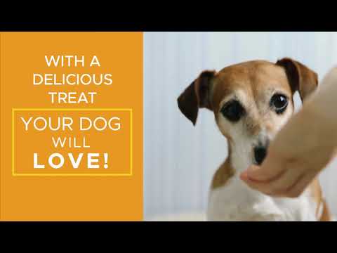 Advanced Hip and Joint Chews for Dogs
