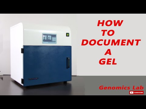 Gel Documentation System - Gel Imaging System Latest Price ...