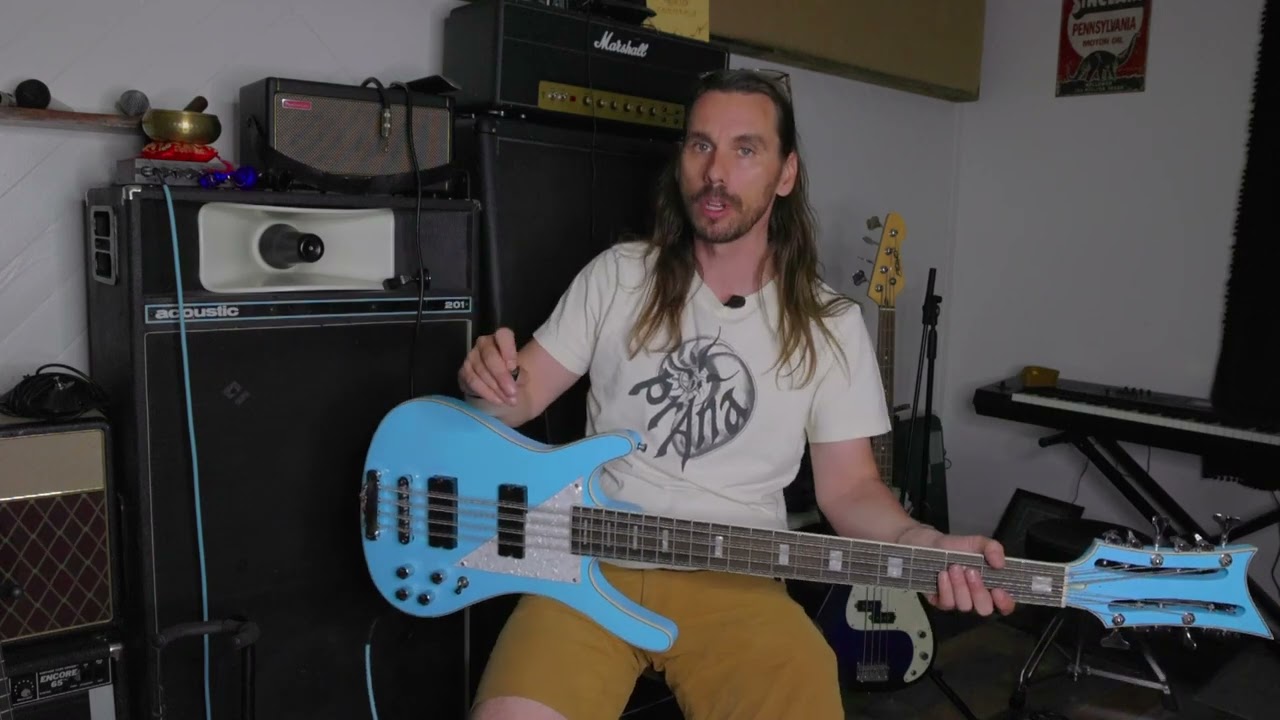 Chinese 12-String Bass Review - Tanner's Favorite Things