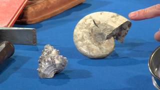 Reading Ocean Fossils with Brian Huber | Smithsonian Institution