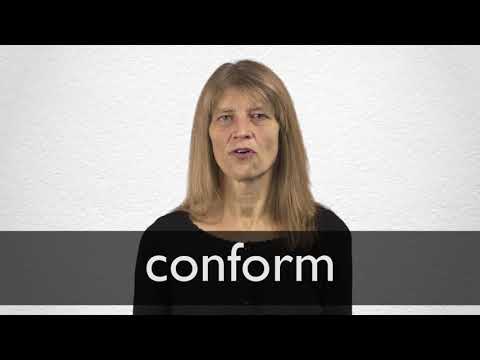 CONFORM definition and meaning | Collins English Dictionary